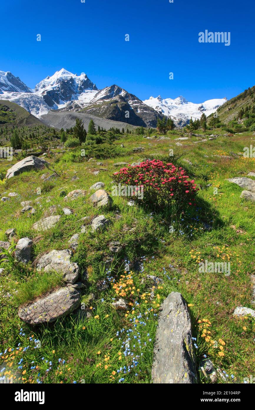 Val Roseg, Switzerland, Europe Stock Photo - Alamy