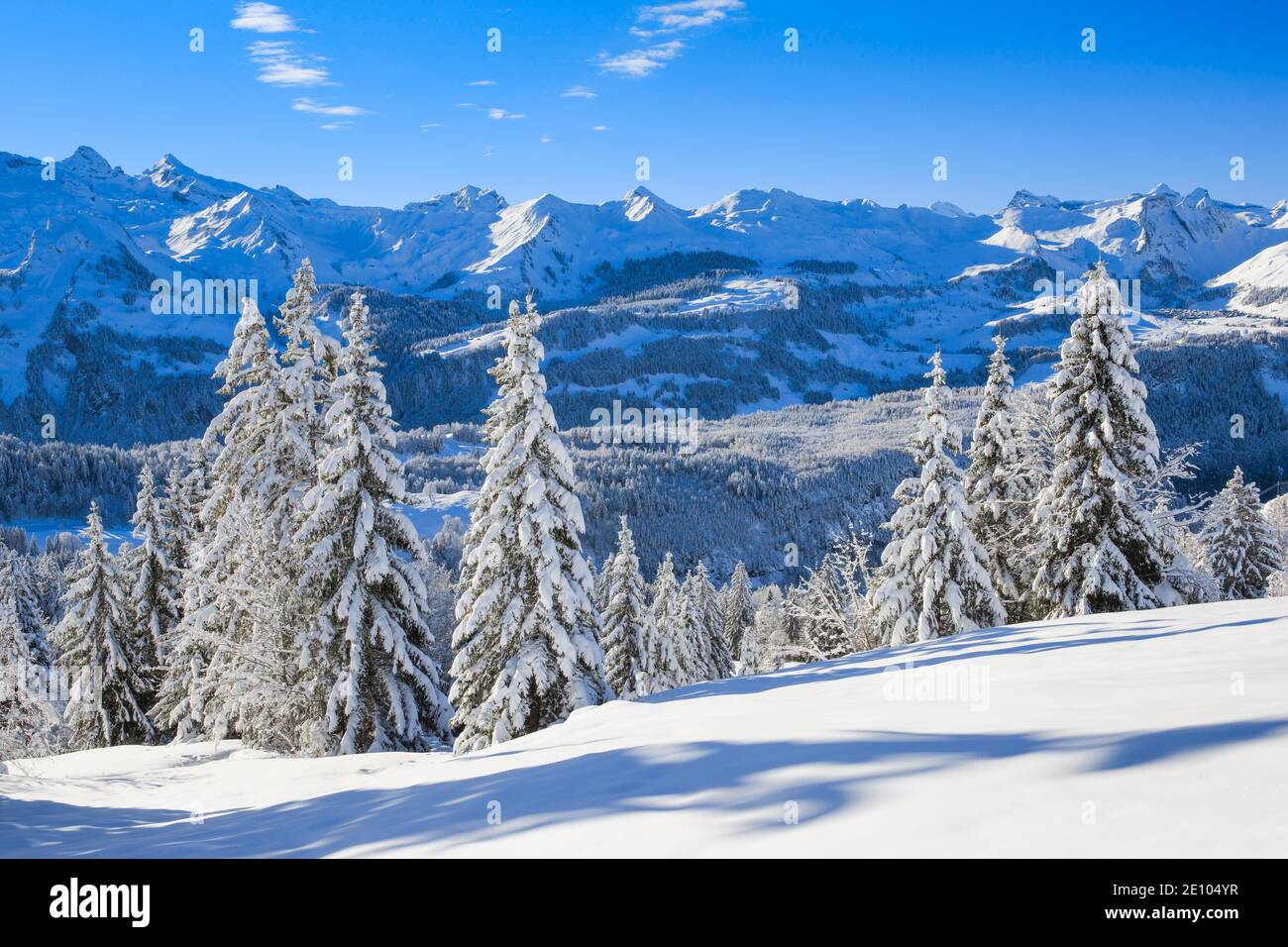 Swiss central alps hi-res stock photography and images - Alamy