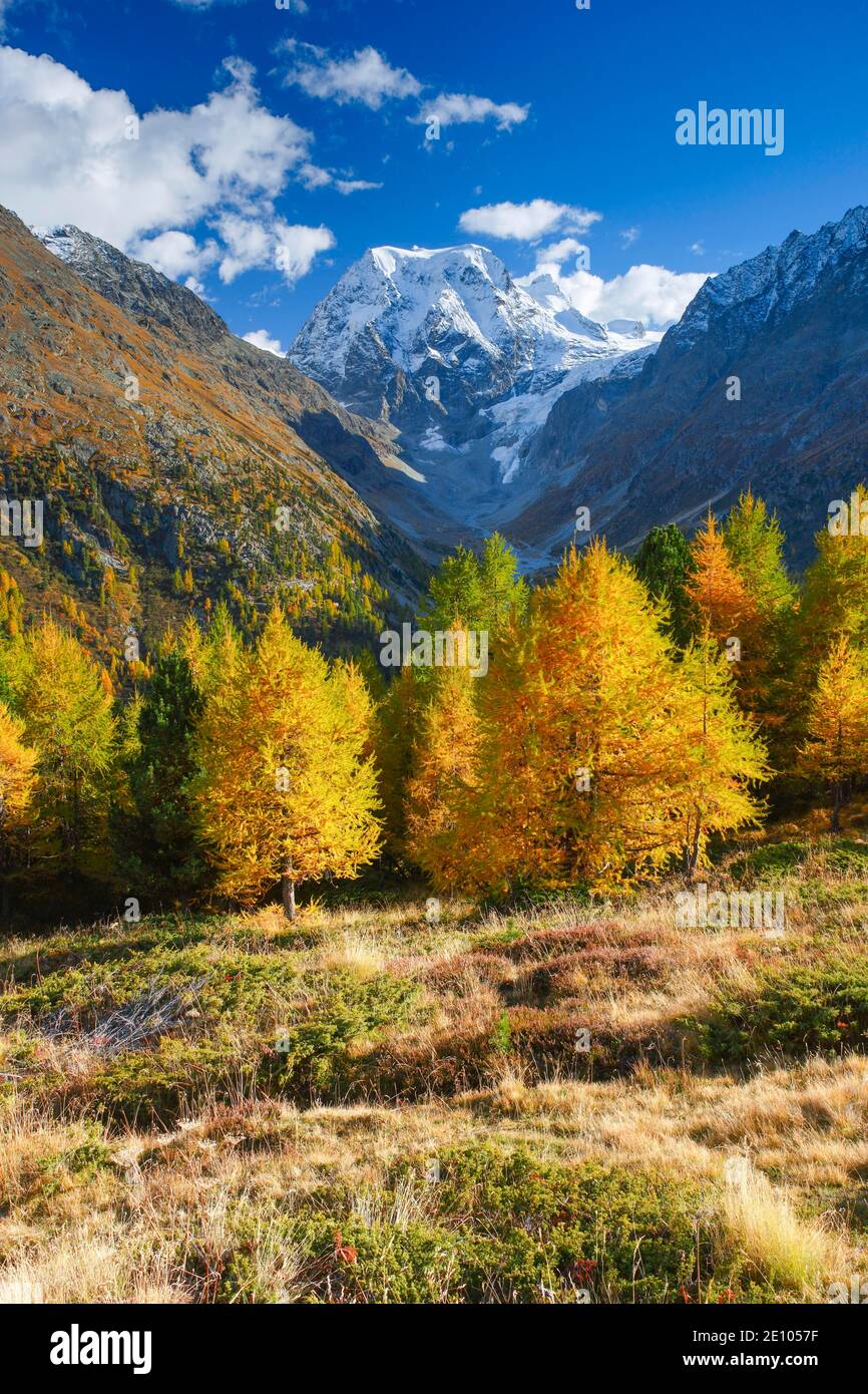 Swiss arolla alps hi-res stock photography and images - Alamy
