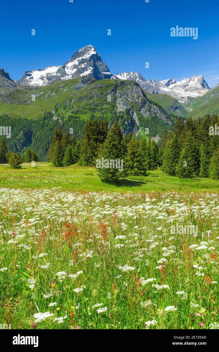 Alp flix hi-res stock photography and images - Alamy