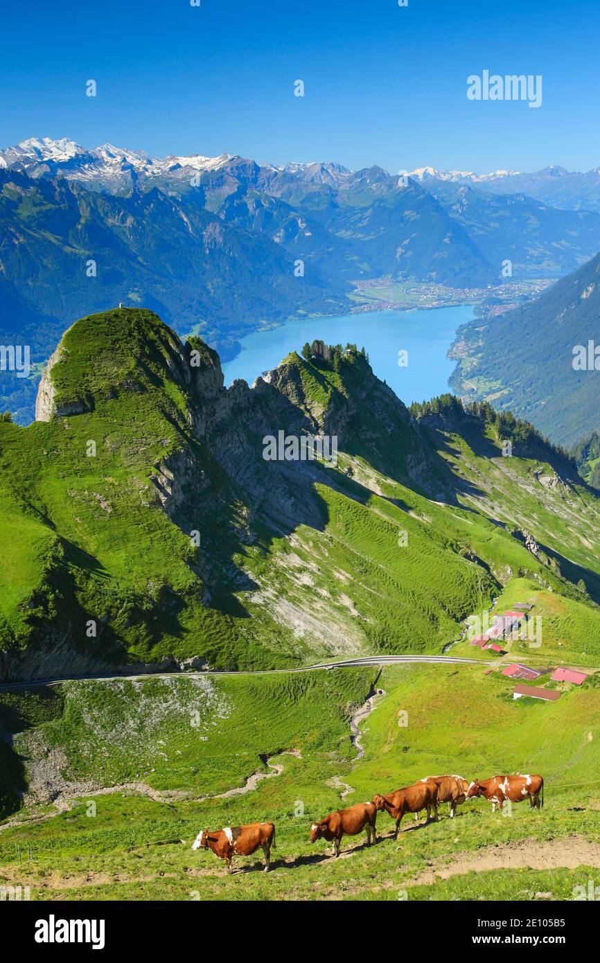 Rothorn peak hi-res stock photography and images - Alamy