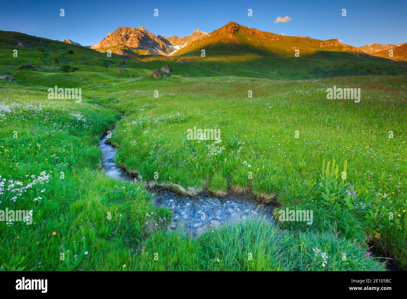 Alp flix hi-res stock photography and images - Alamy