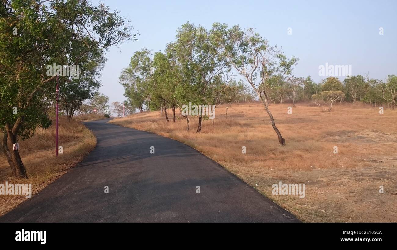 Dry road and sun through trees hi-res stock photography and images - Alamy