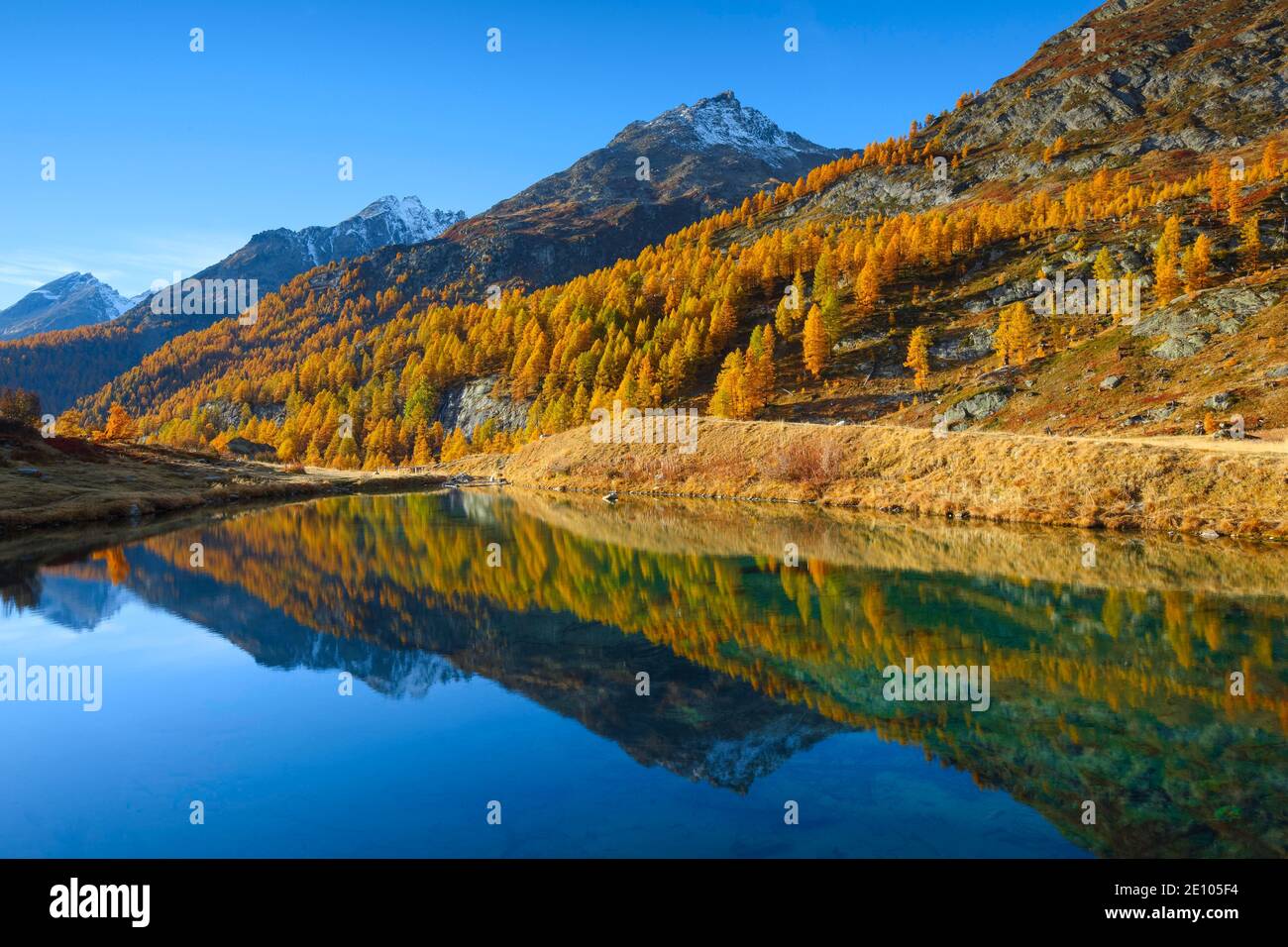 Lake alpsee switzerland hi-res stock photography and images - Alamy