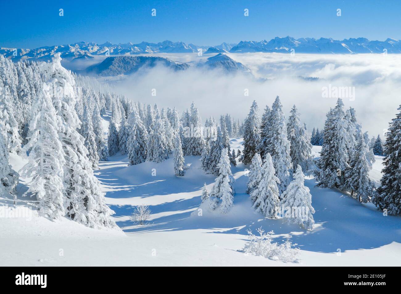 Bavarian rigi hi-res stock photography and images - Alamy