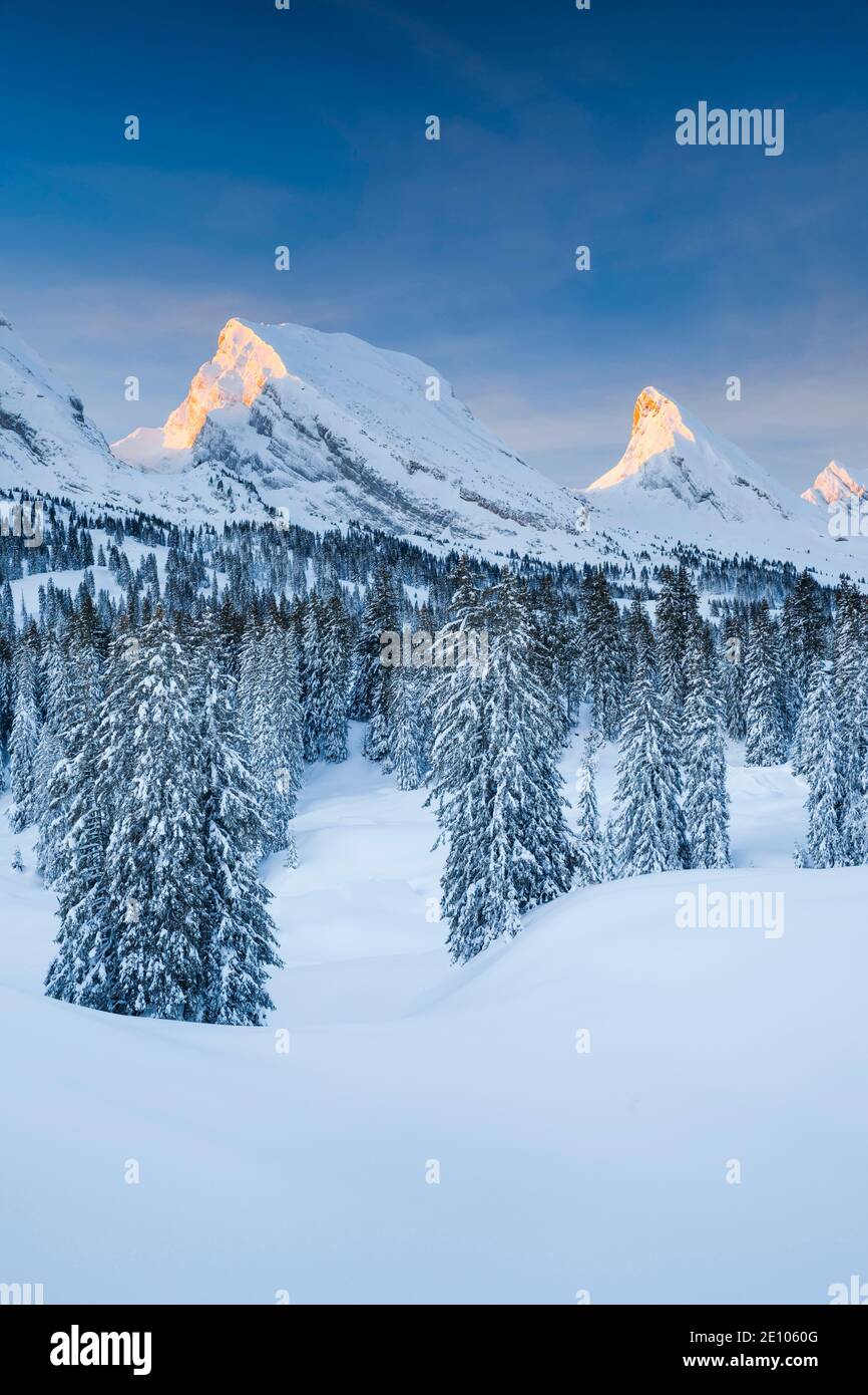Zuestoll, Brisi, Churfirsten, Switzerland, Europe Stock Photo - Alamy