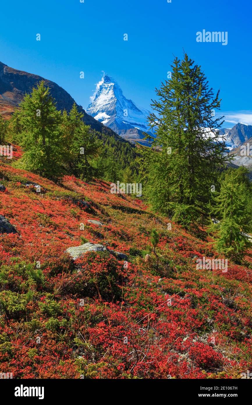 Matterhorn with autumn colors hi-res stock photography and images - Alamy