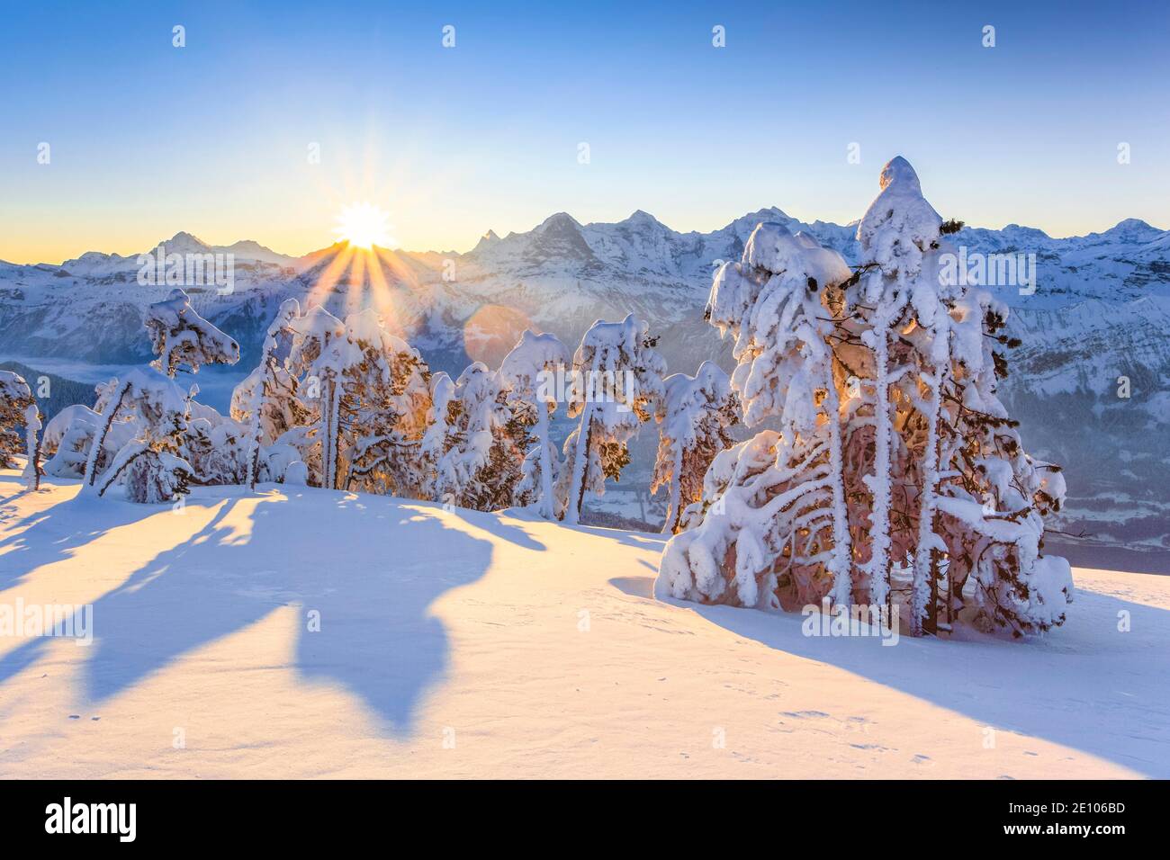 Holstein switzerland winter hi-res stock photography and images - Alamy