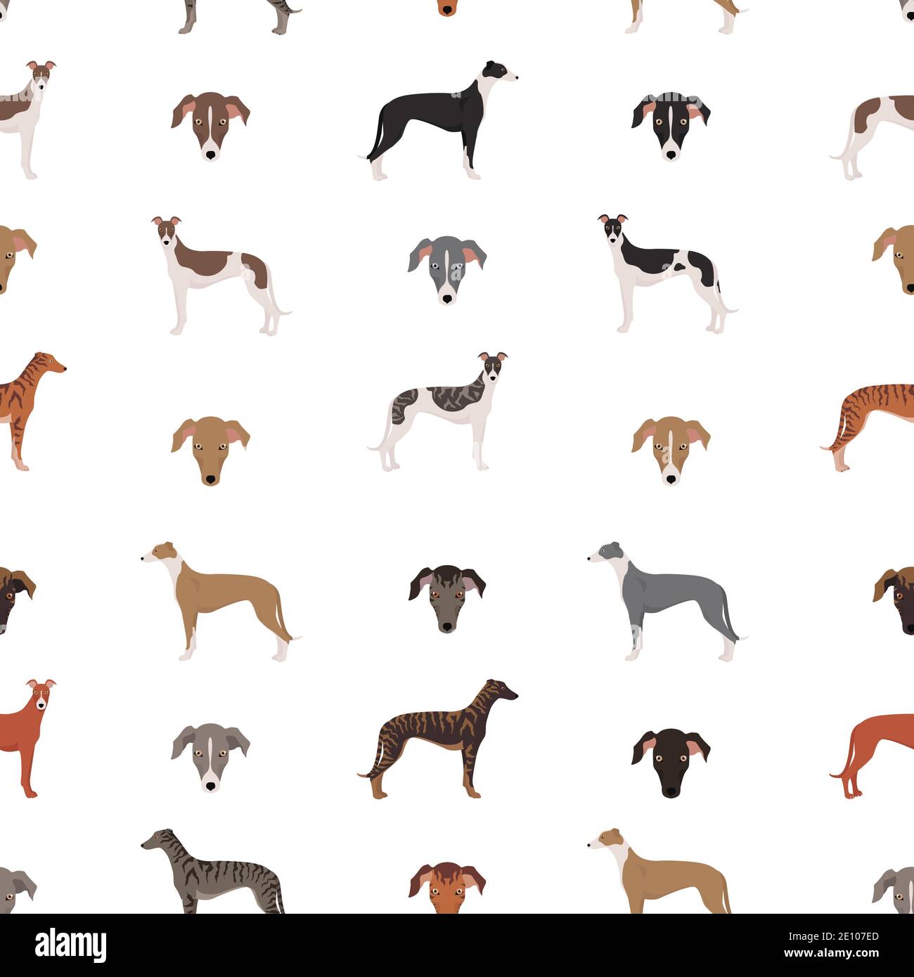 English greyhound dogs in different poses. Greyhounds seamless pattern ...