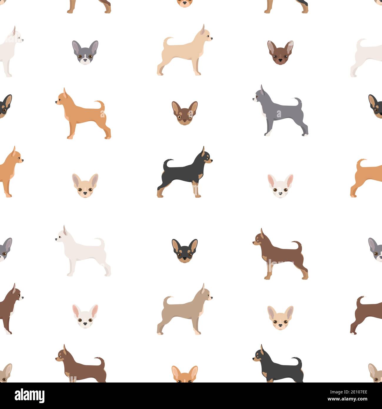Chihuahua seamless pattern. Dog healthy silhouette and different poses ...