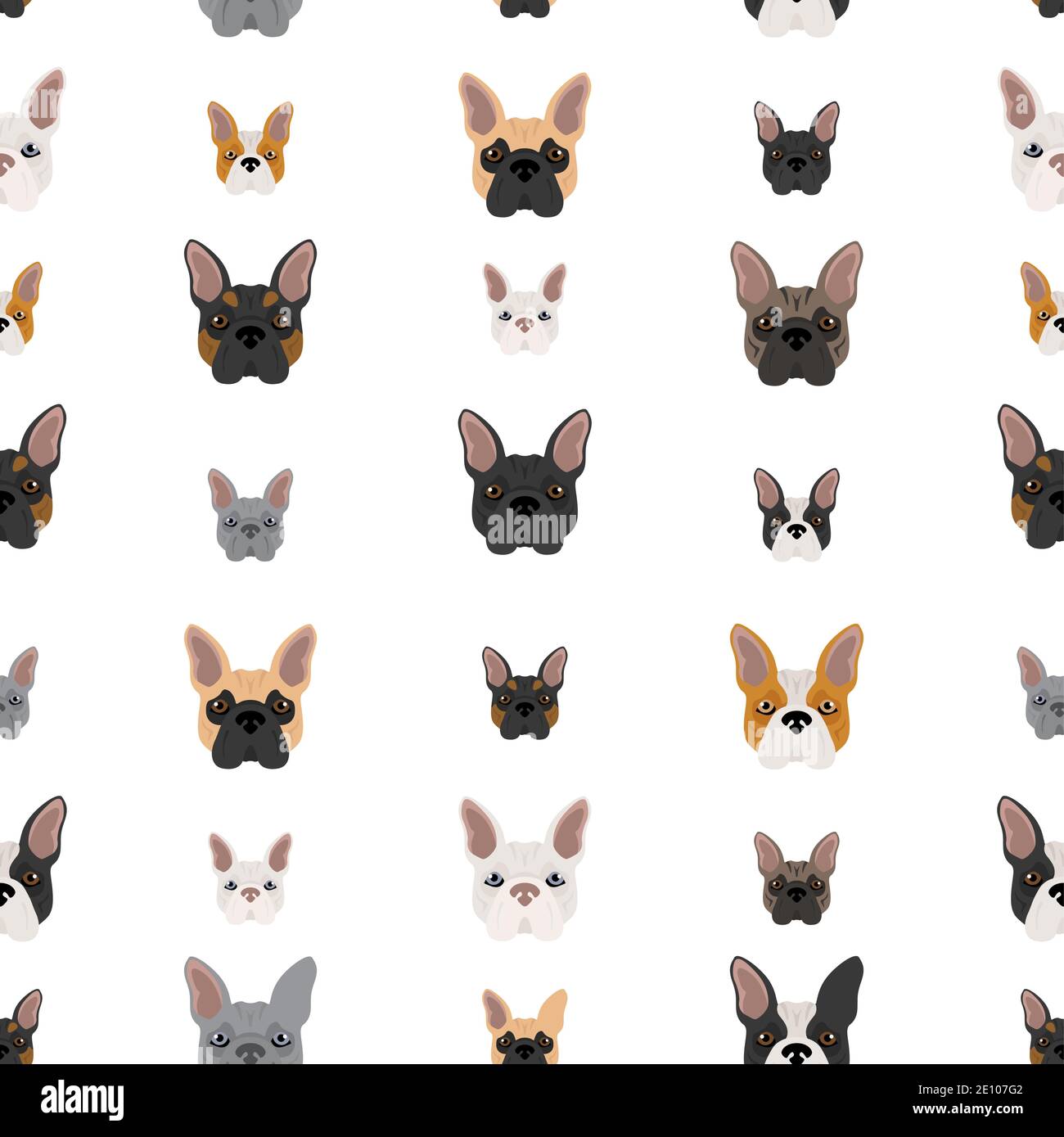 Cute French Bulldogs Wallpaper