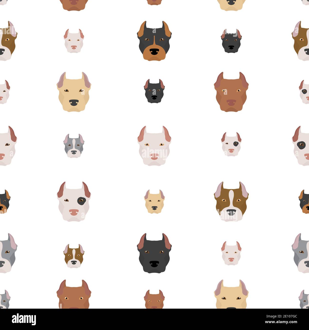 American pit bull terrier dogs set. Color varieties, different poses ...