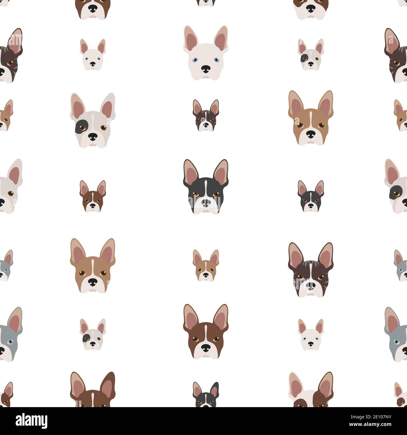 Boston terrier seamless pattern. Vector illustration Stock Vector Image ...
