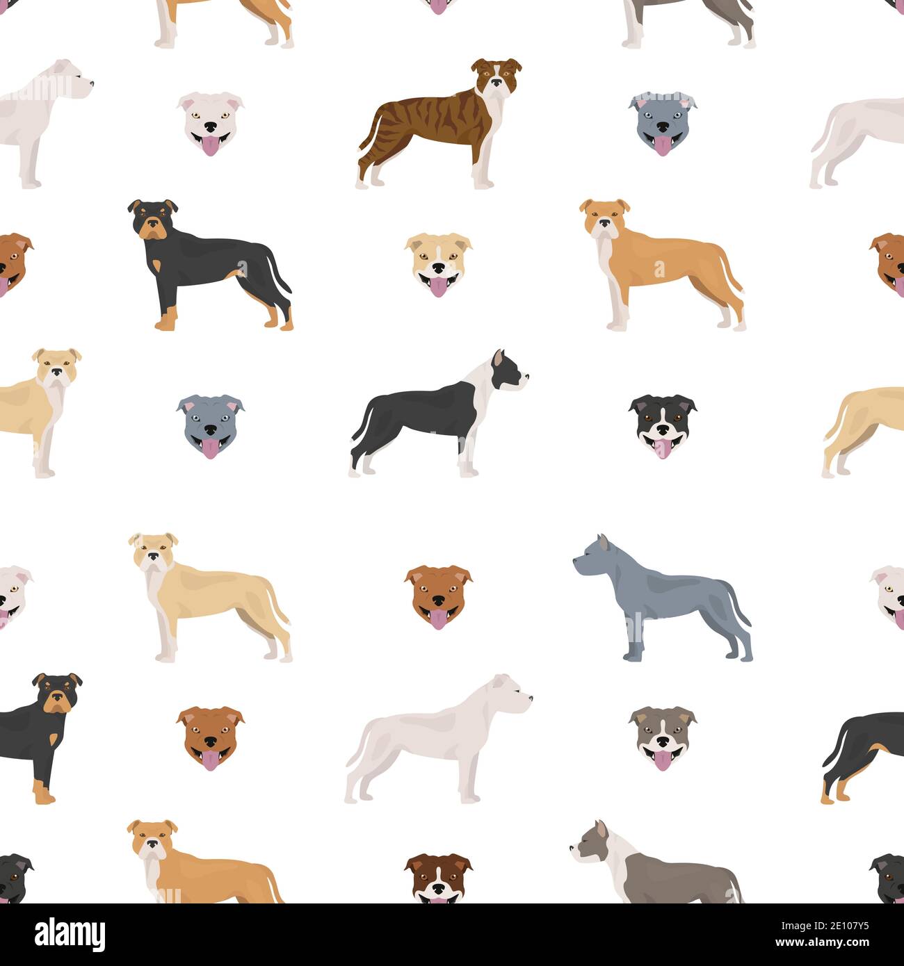 Staffordshire bull terrier seamless pattern. Staffy characters set ...