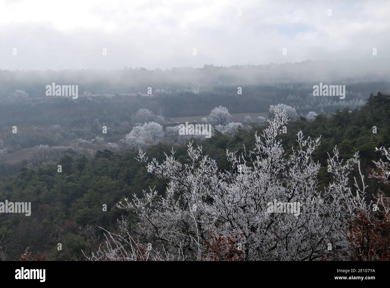 Winter provence france hi-res stock photography and images - Alamy