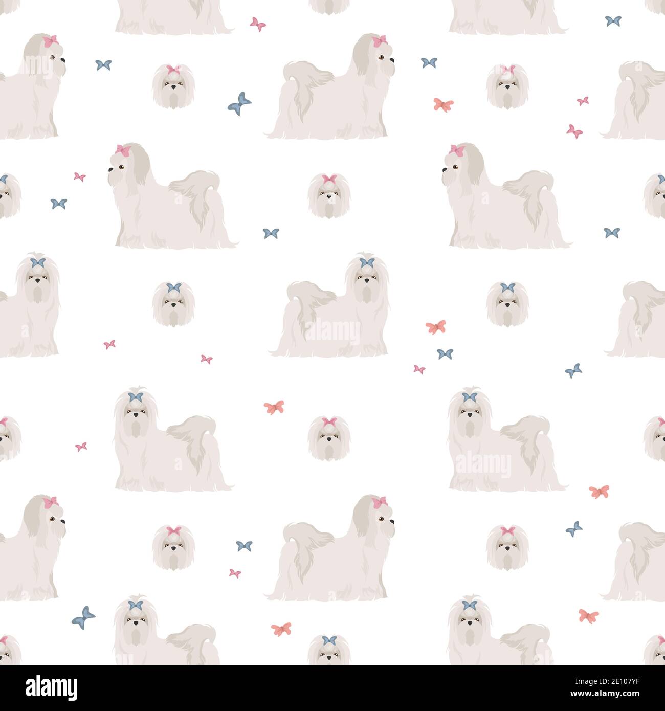 Maltese dogs in different poses seamless pattern. Vector illustration ...