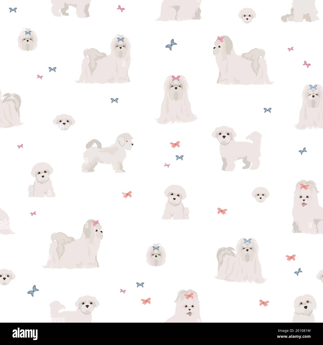 Maltese dogs in different poses seamless pattern. Vector illustration ...