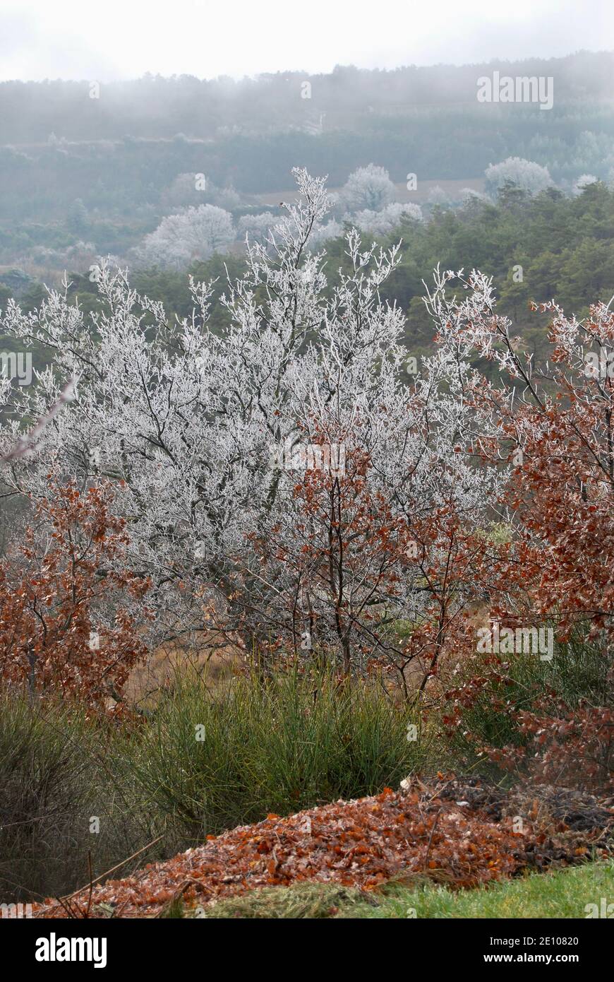 Winter in Provence, France Stock Photo - Alamy