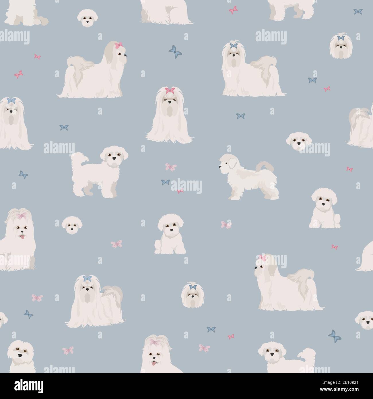Maltese dogs in different poses seamless pattern. Vector illustration ...