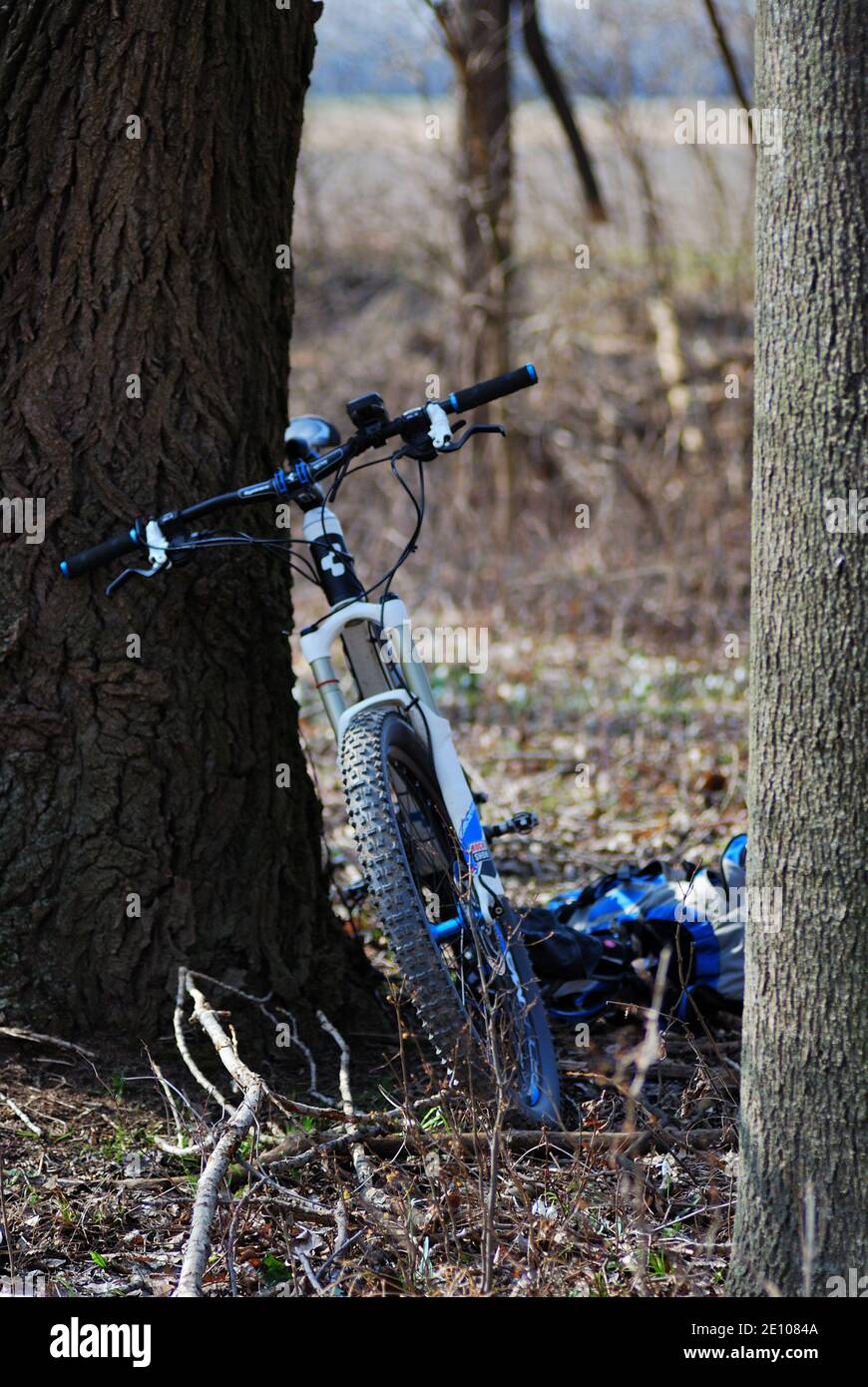mountain bike leaning against the tree in the forest with a bike ride ...