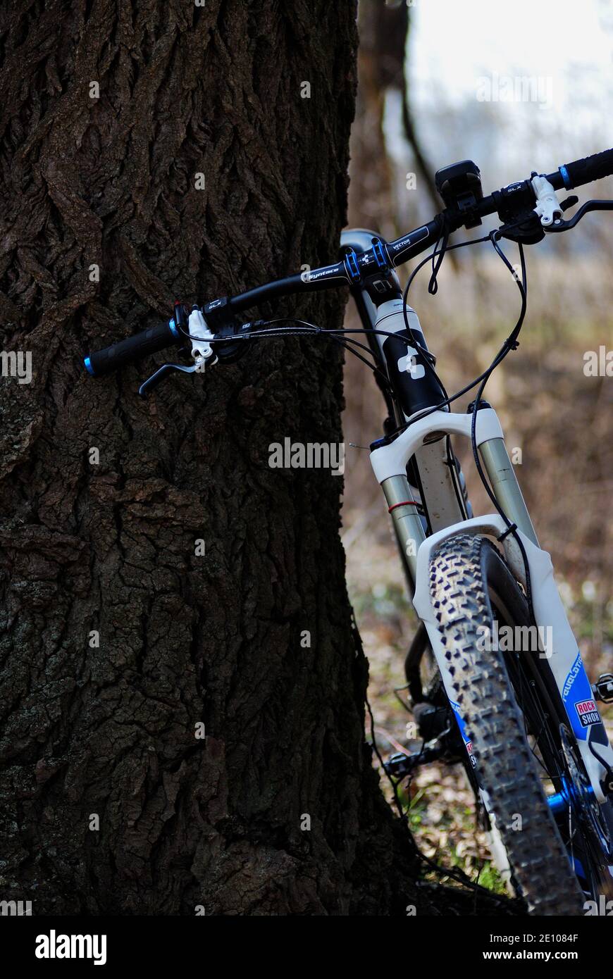 Caucasian Boy Leaning Against Tree High Resolution Stock Photography ...