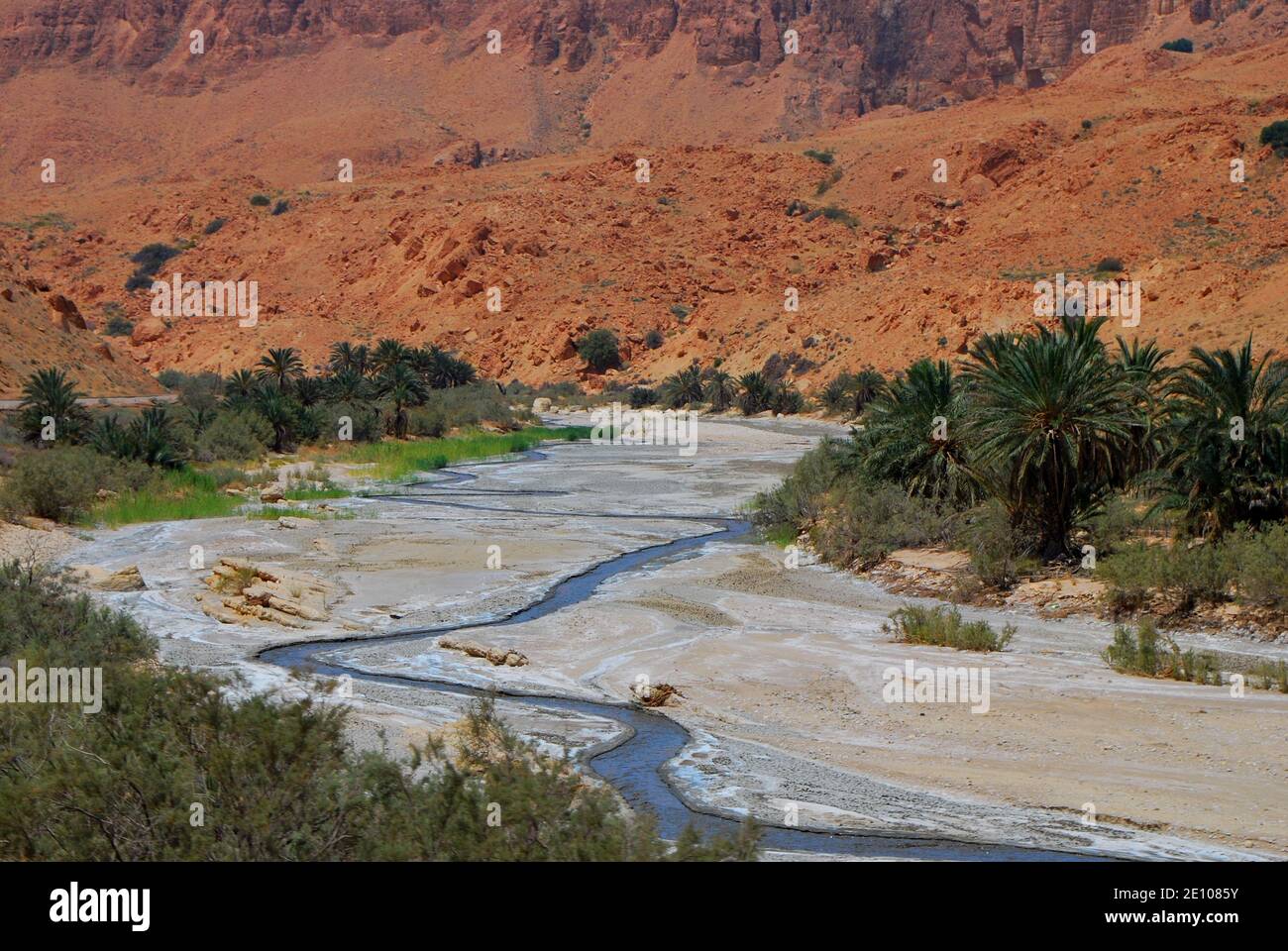 river between palm trees in the desert Stock Photo - Alamy