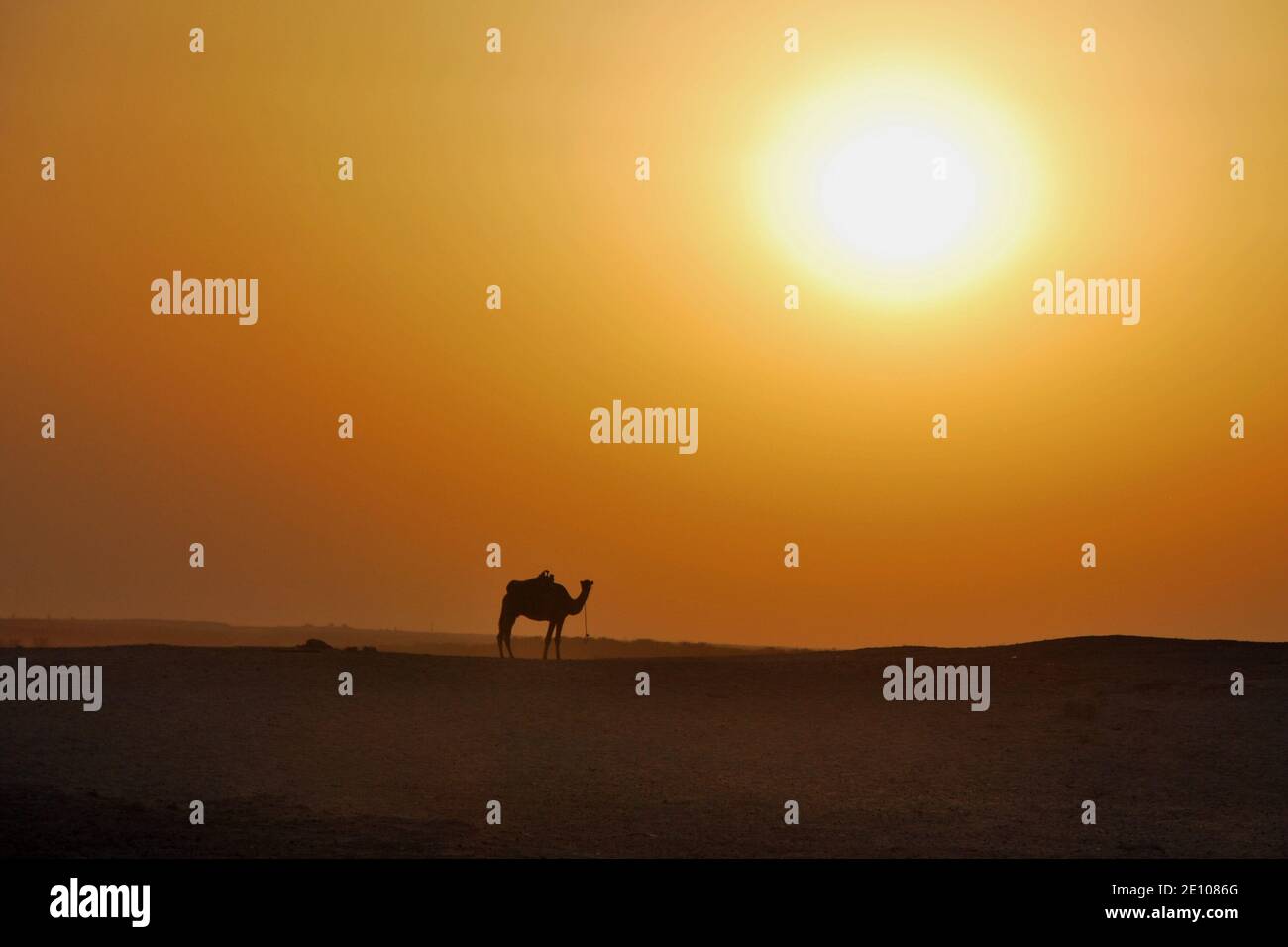 Dead camel hill hi-res stock photography and images - Alamy