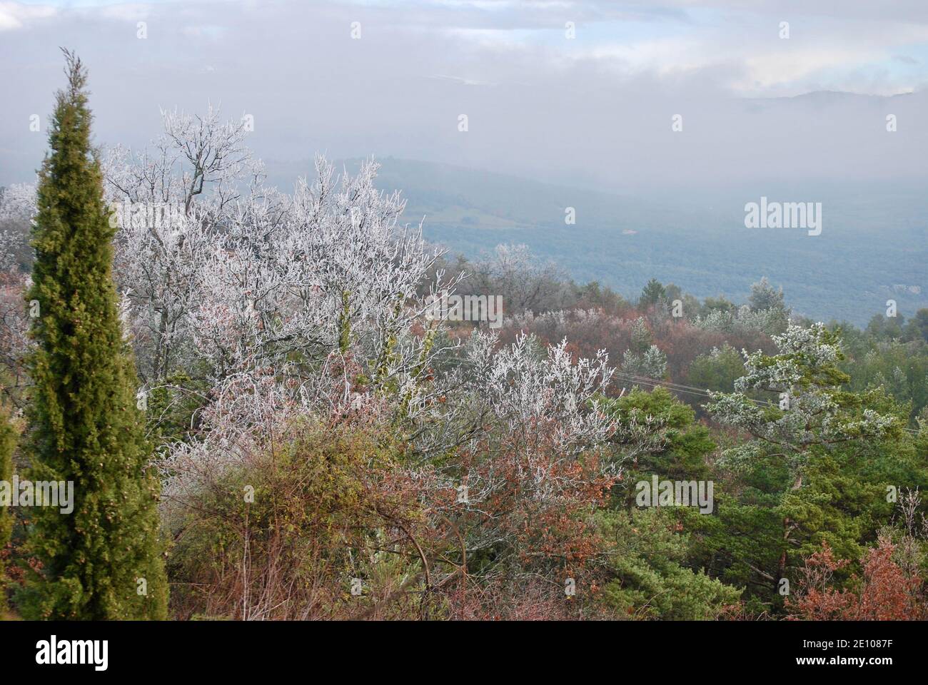 Winter in Provence Stock Photo - Alamy