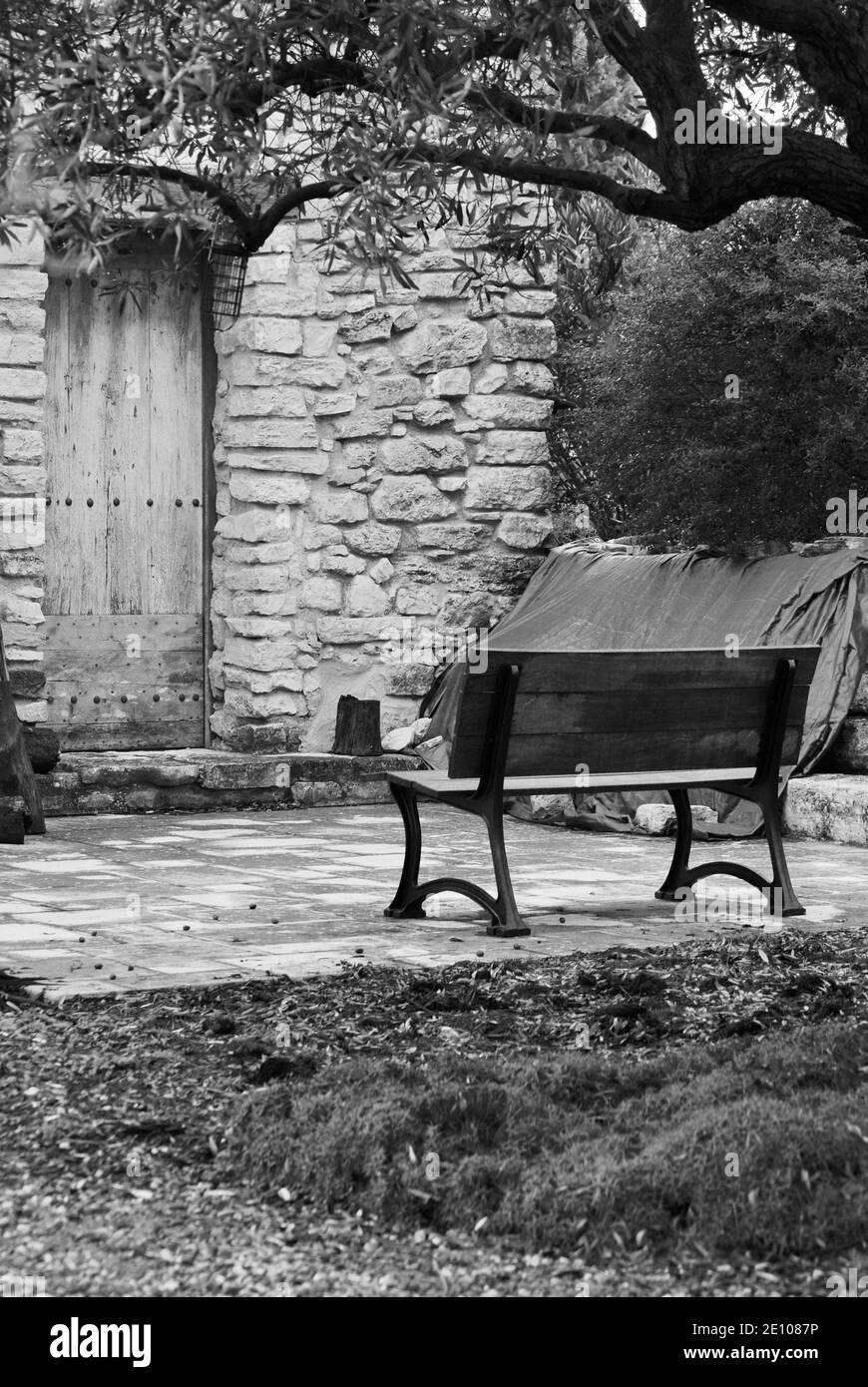 Tree in rural house Black and White Stock Photos & Images - Alamy