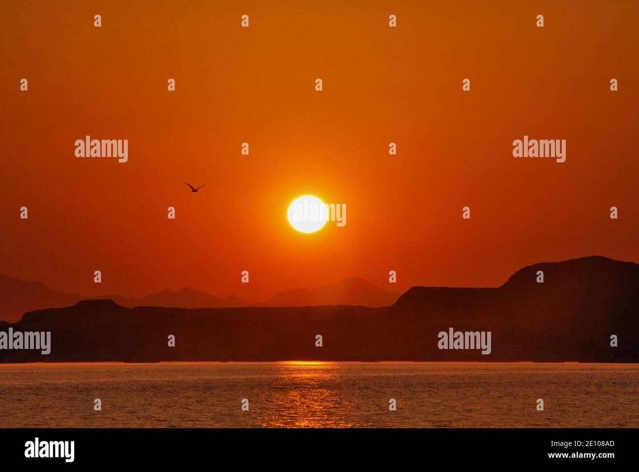 red sunset at the sea with mountains and bird Stock Photo - Alamy