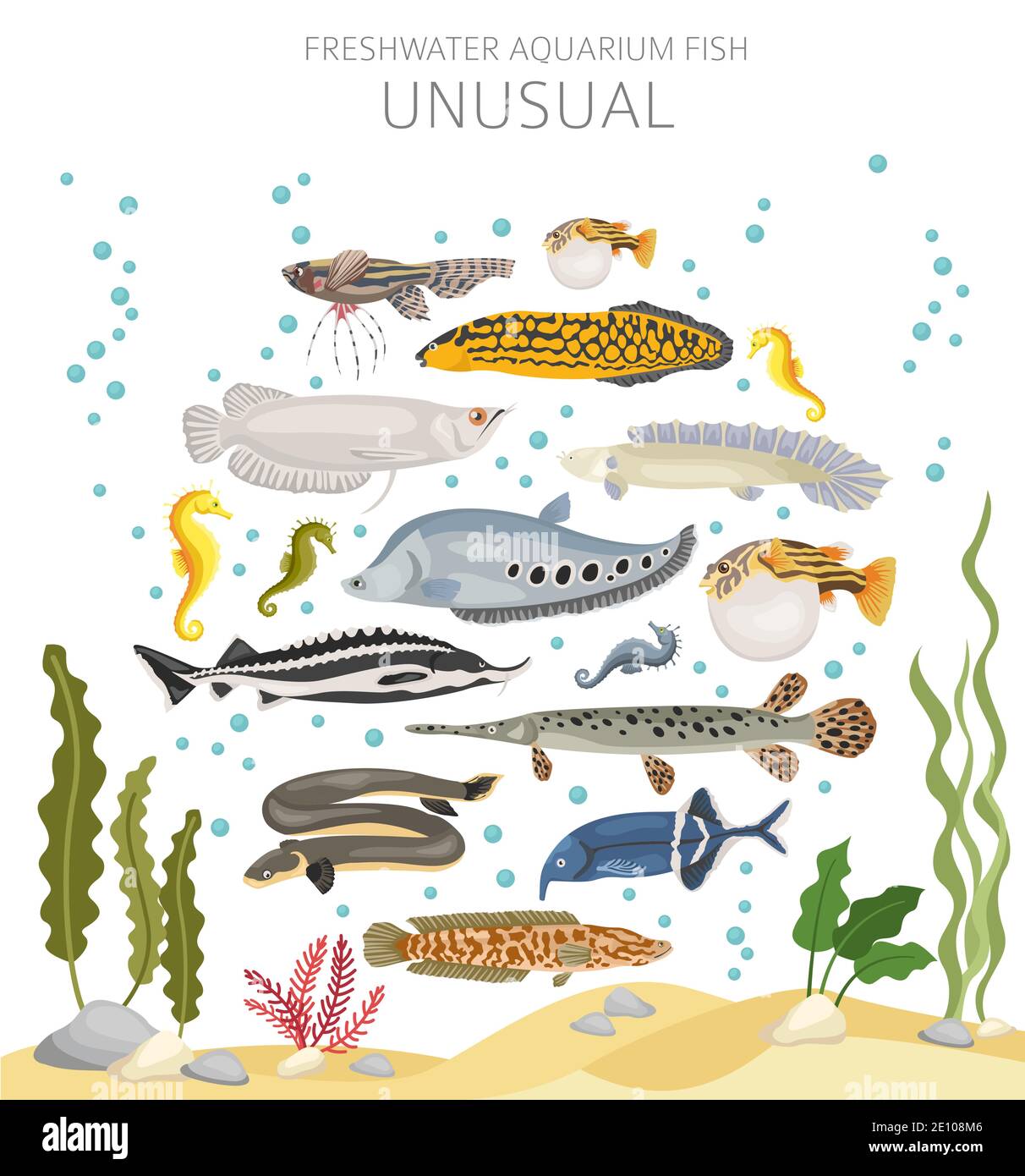 Unusual fish. Freshwater aquarium fish icon set flat style isolated on ...