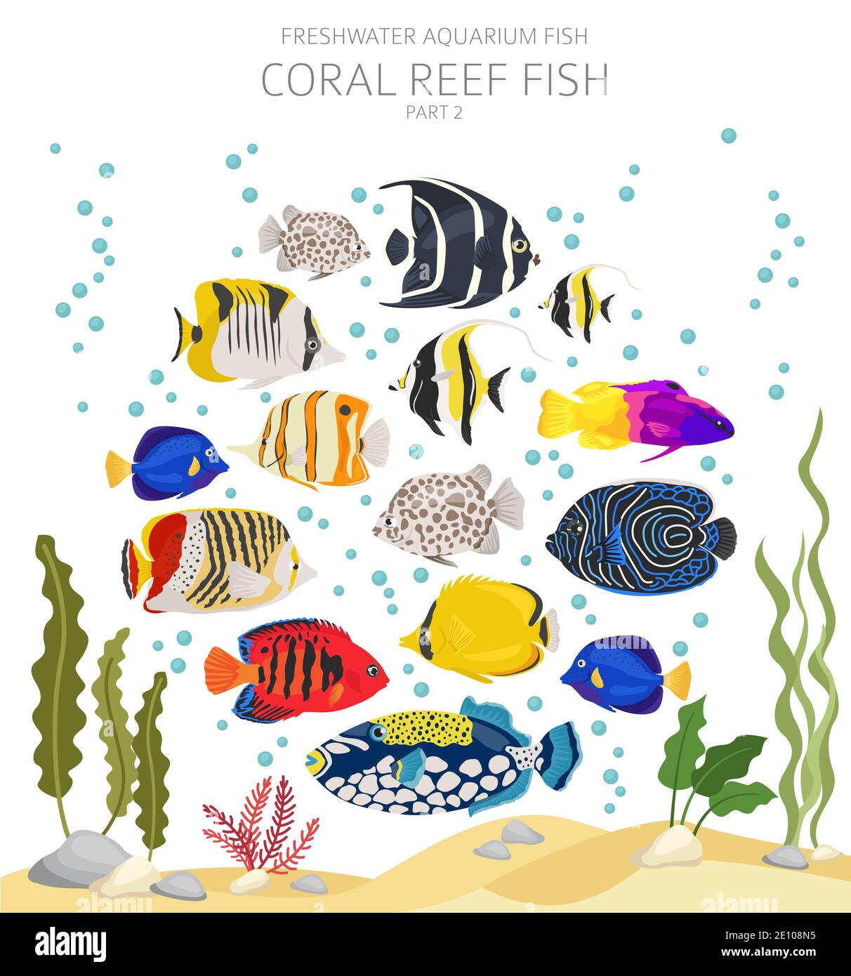 Coral reef fish. Freshwater aquarium fish icon set flat style isolated ...