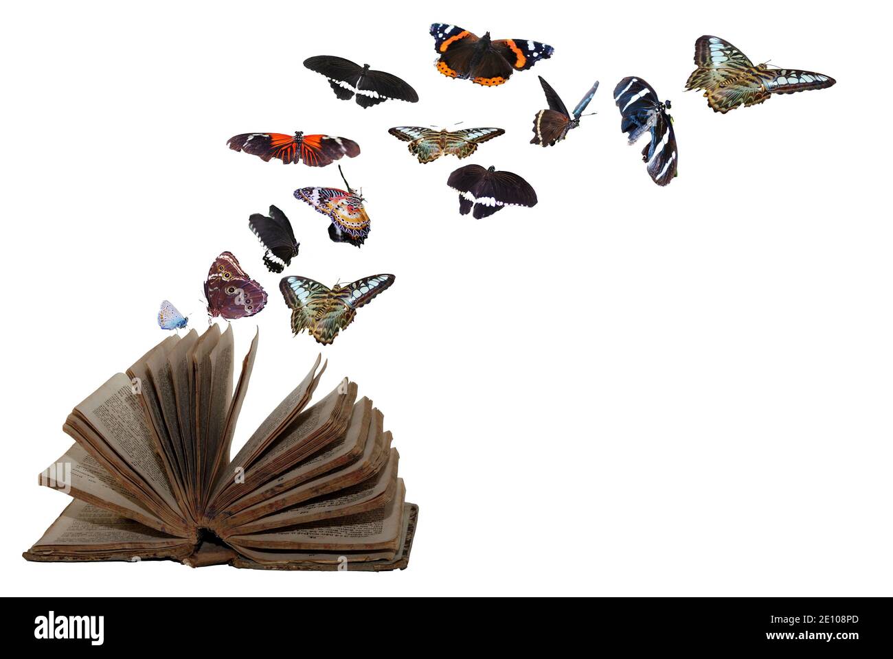 old book with lots of colorful flying butterflies on white background ...