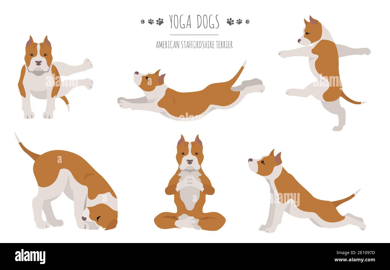 Yoga Dogs Poster