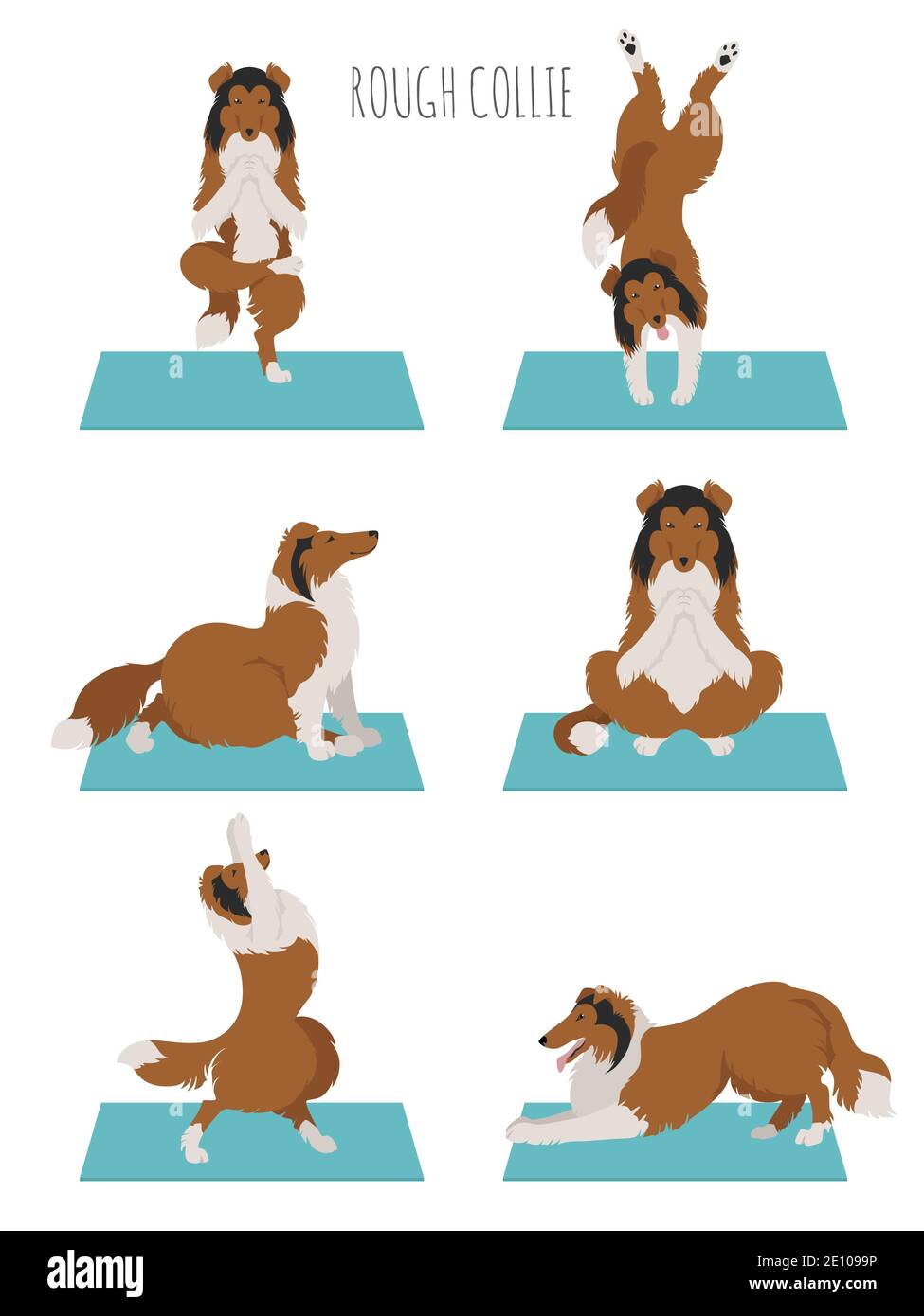 Yoga dogs poses and exercises. Rough collie clipart. Vector ...