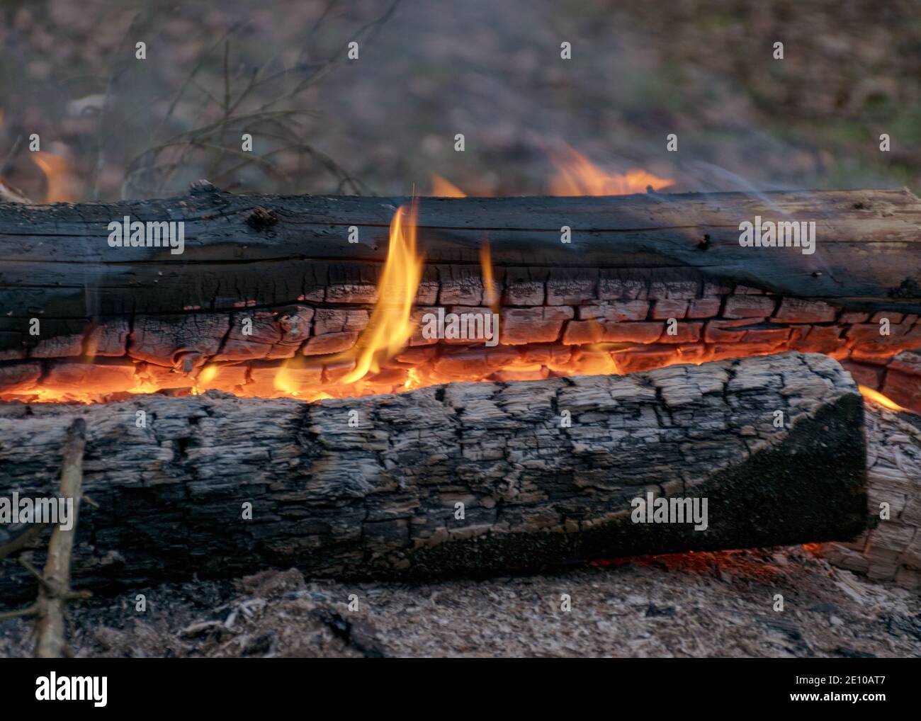 landscape with a burning campfire on the lake shore, glowing wooden ...