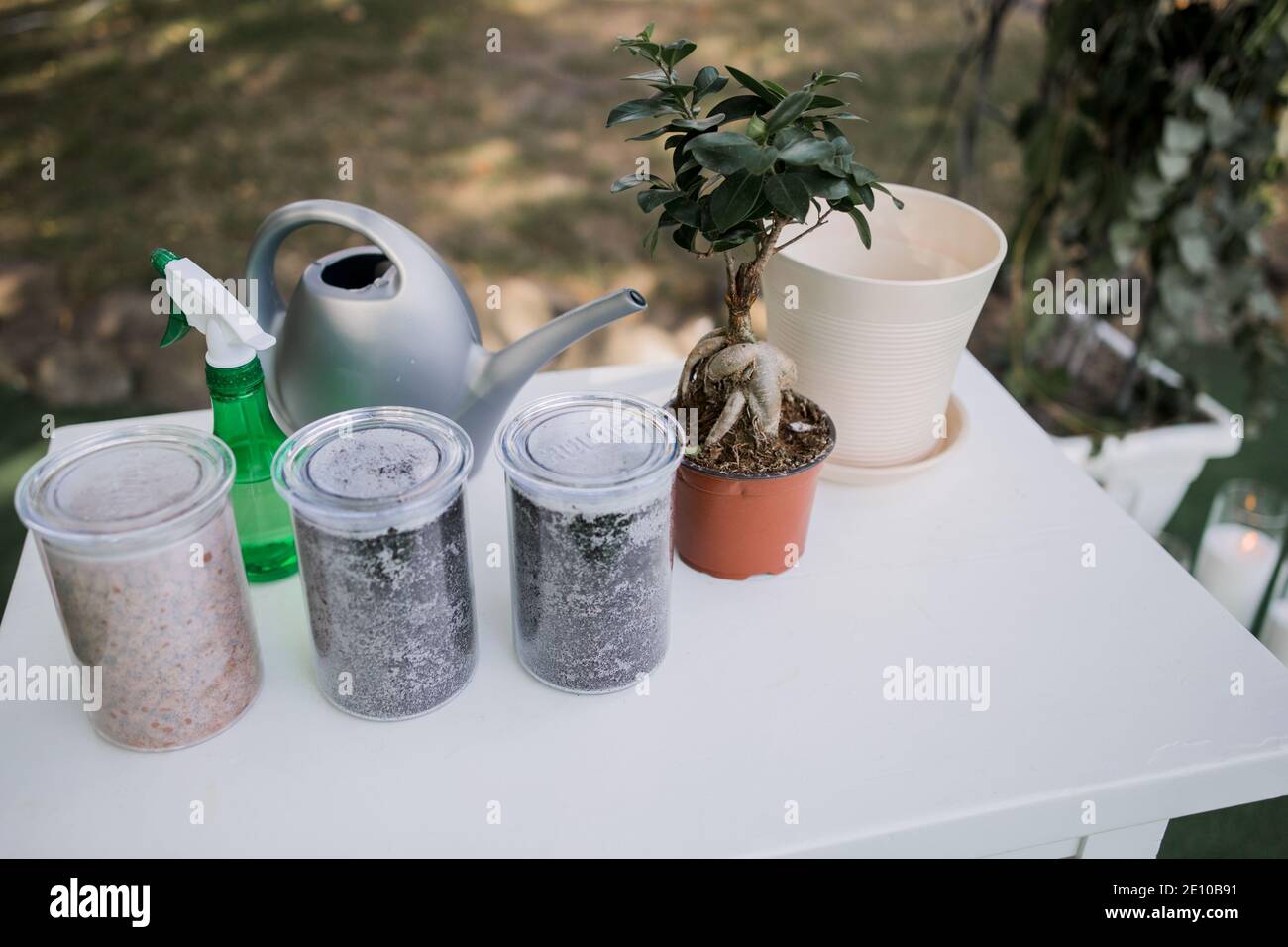 set for planting tree with earth and watering can Stock Photo - Alamy