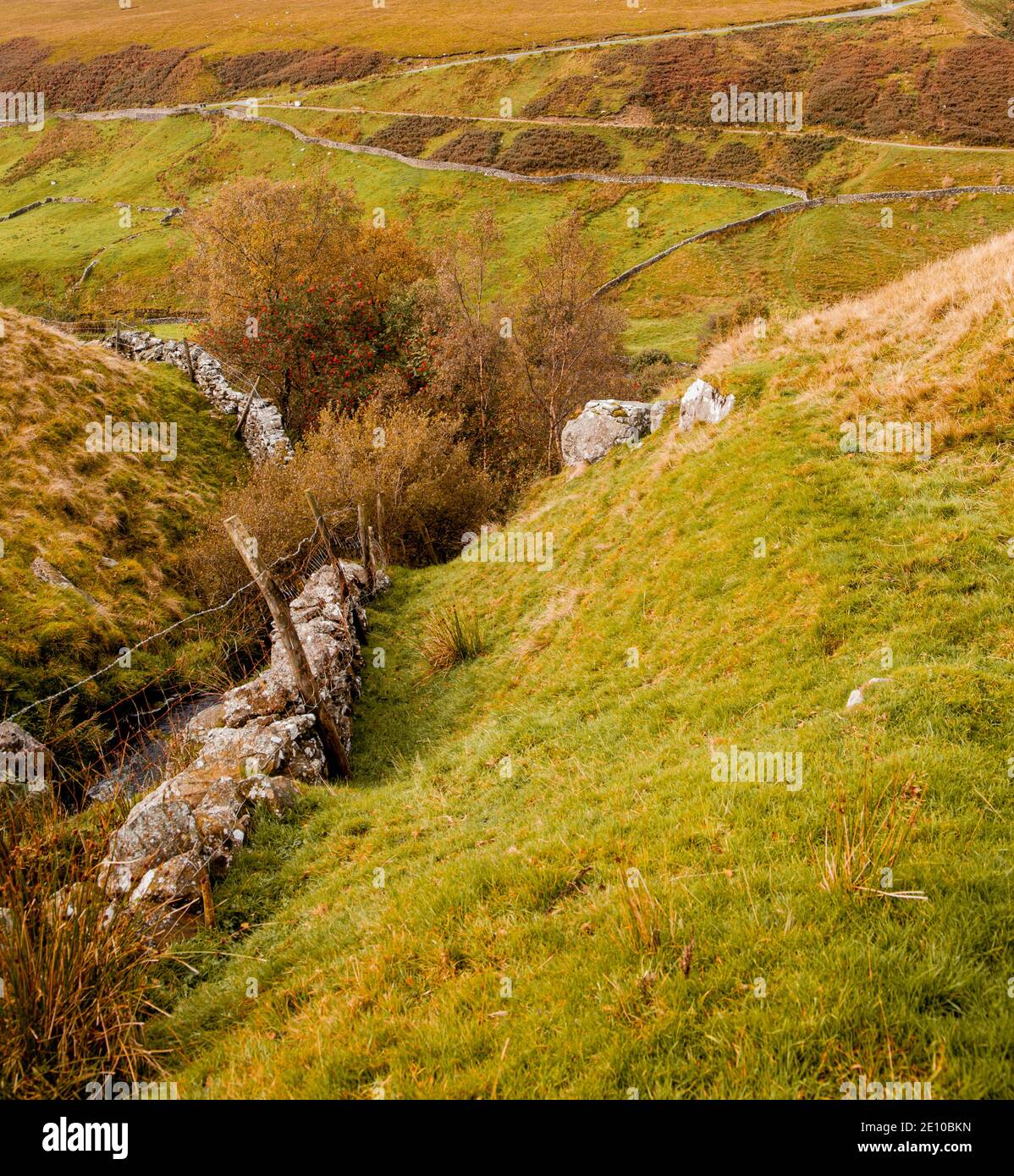 Dry stone wall in Swaledale; one of the northernmost Dales in the ...