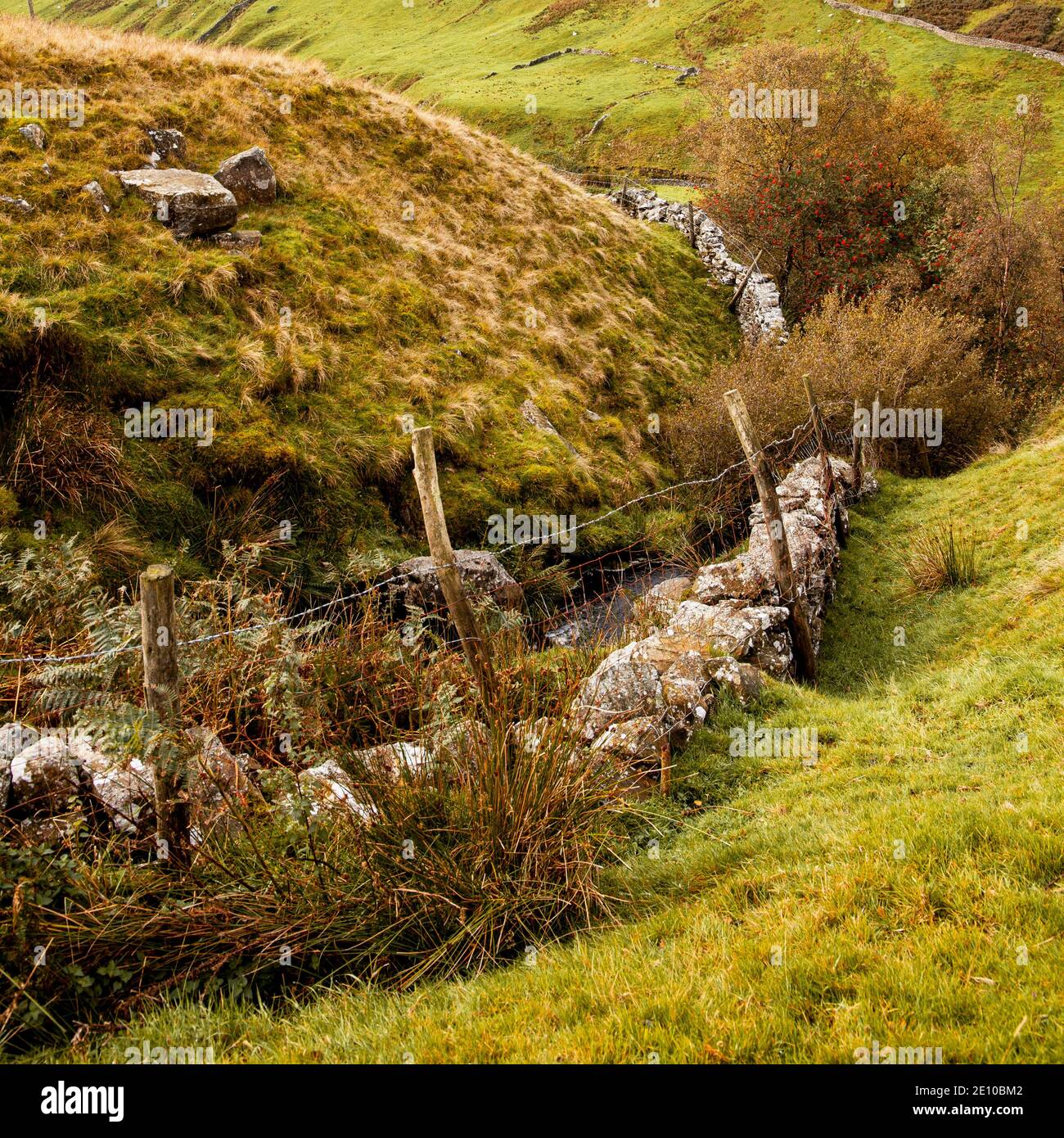 Dry stone wall in Swaledale; one of the northernmost Dales in the ...