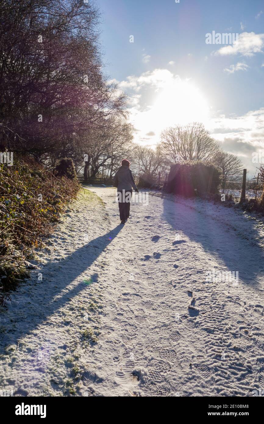 Walking and rambling in the Cheshire countryside during snow in the ...