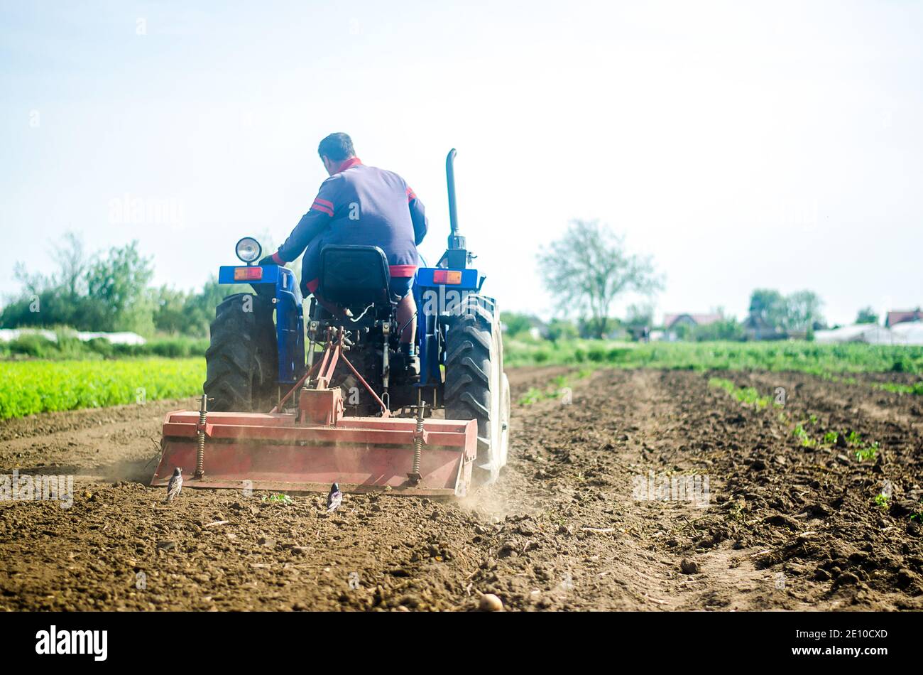A farmer on a tractor works the soil of a farm field. Loosening surface ...