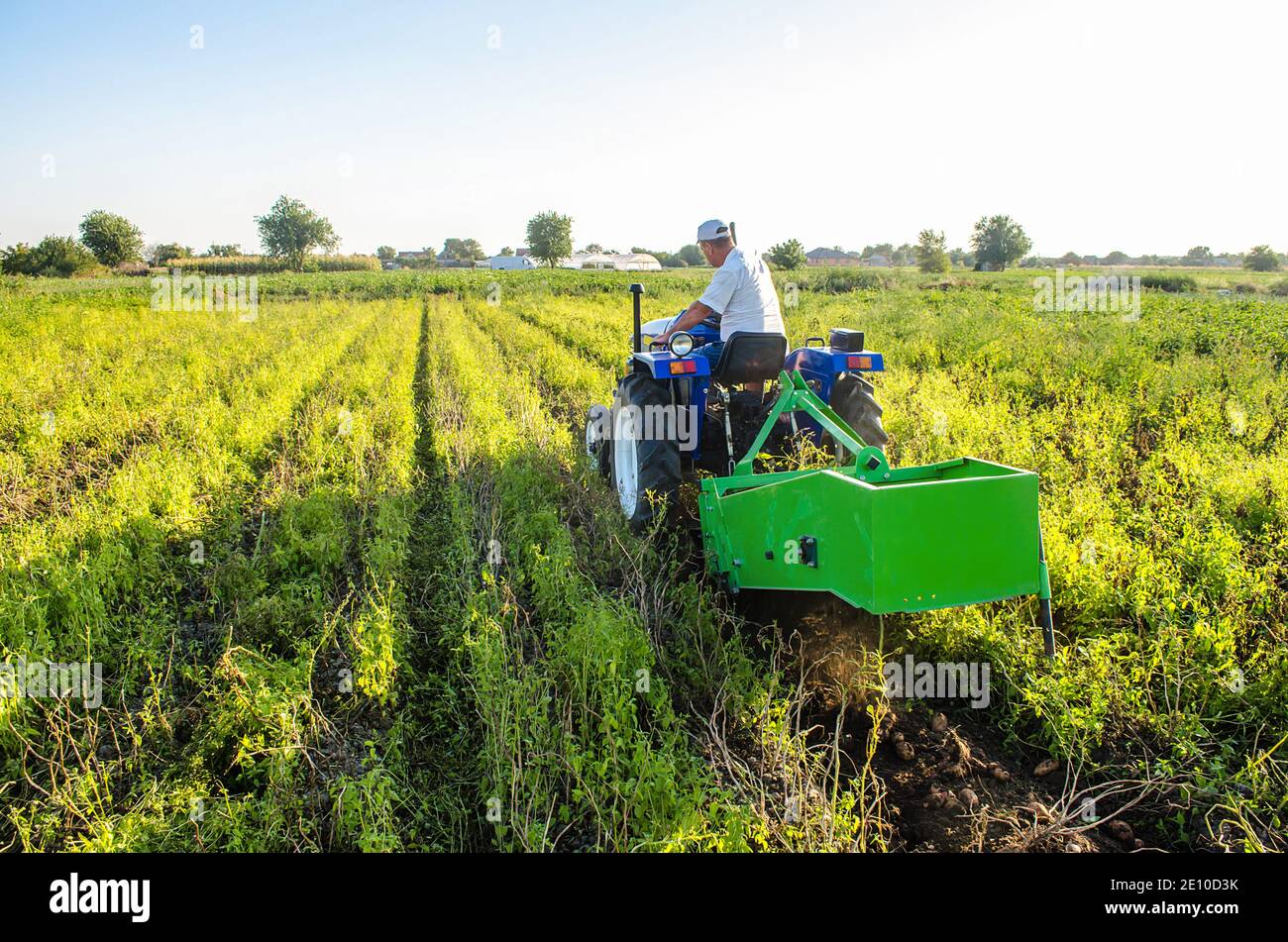 A farmer on a tractor with an aggregate of equipment for digging out ...