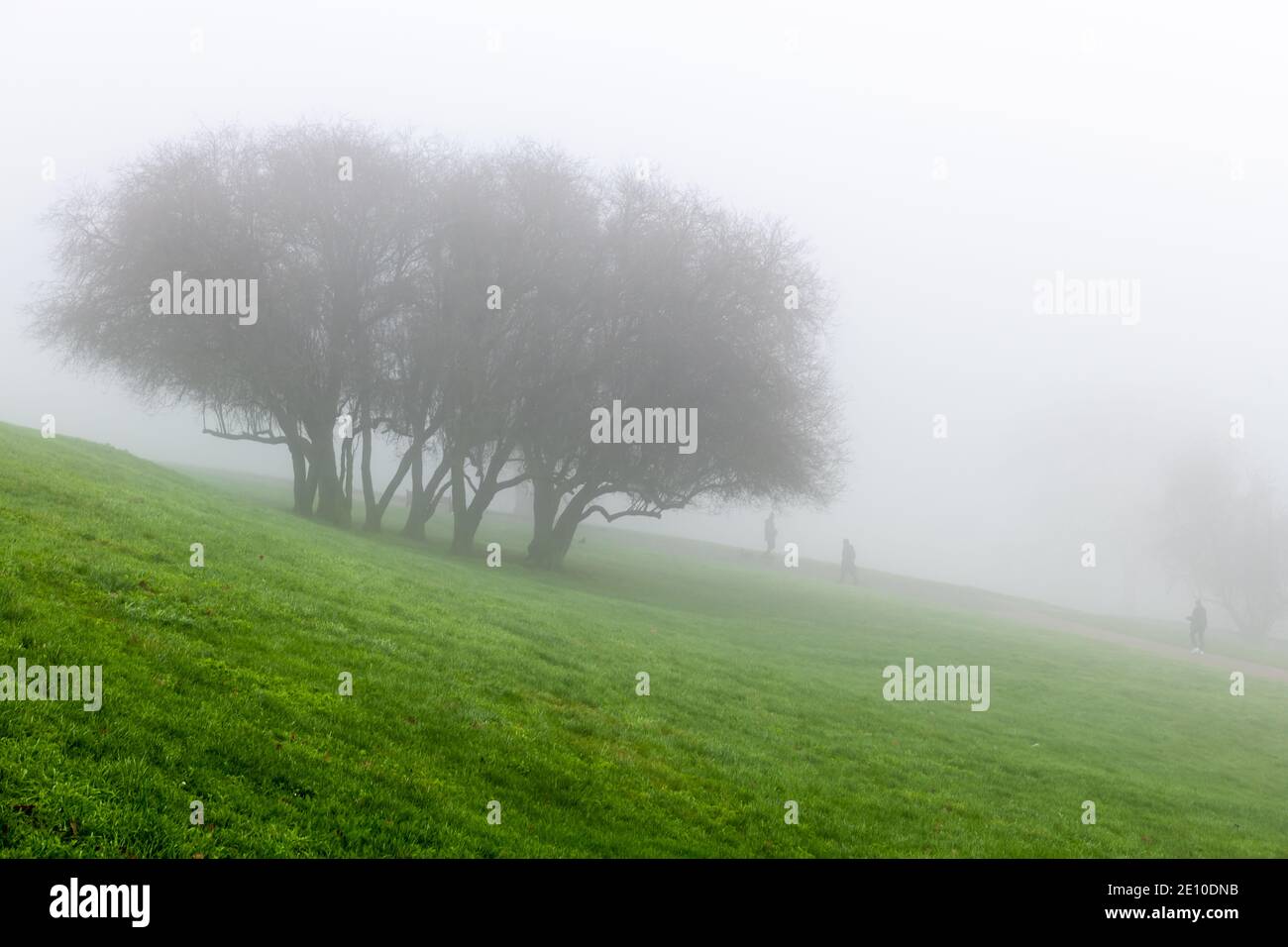 A park covered in heavy fog with people out walking Stock Photo - Alamy