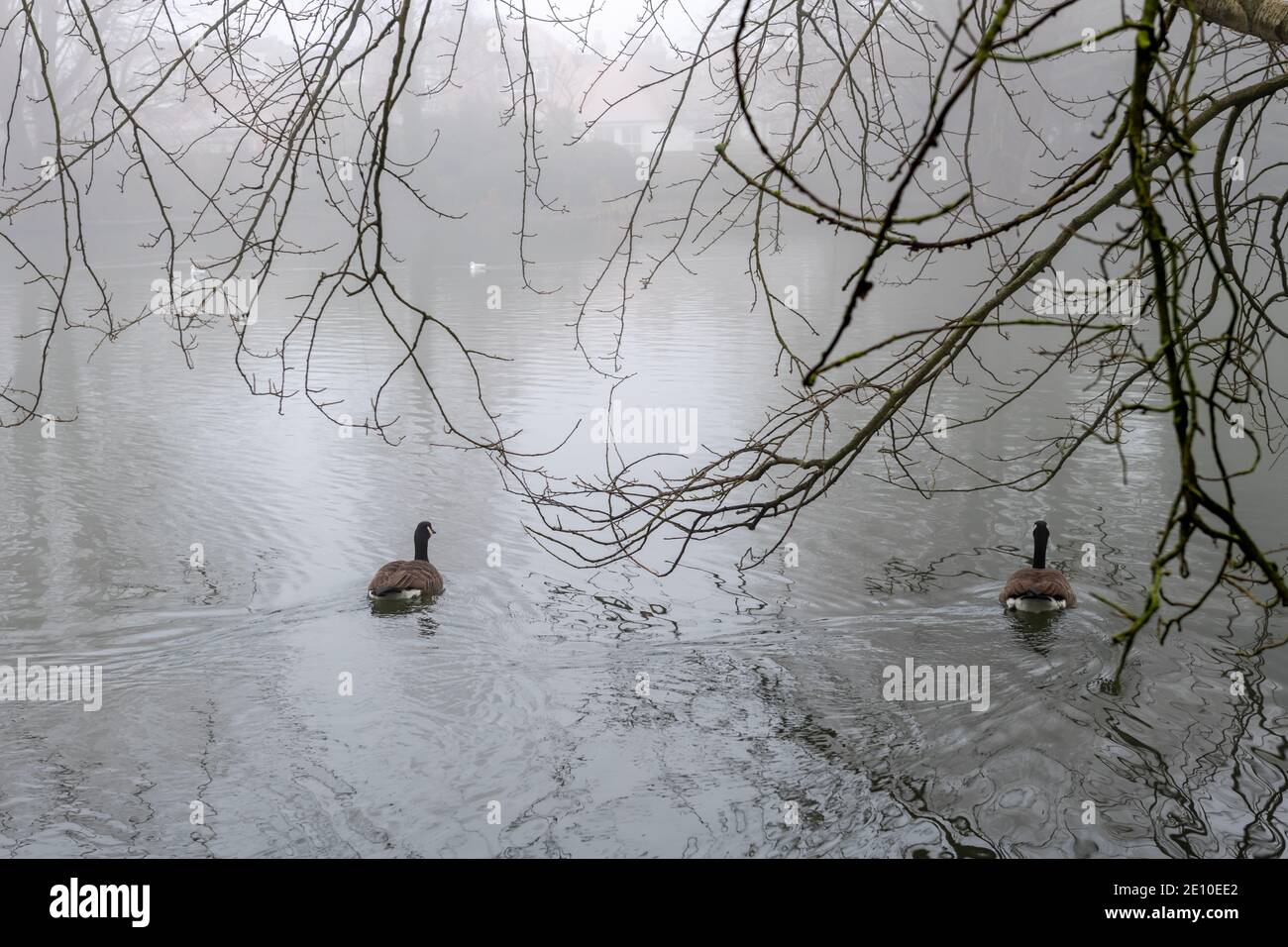 Fog england winter landscape hi-res stock photography and images - Alamy