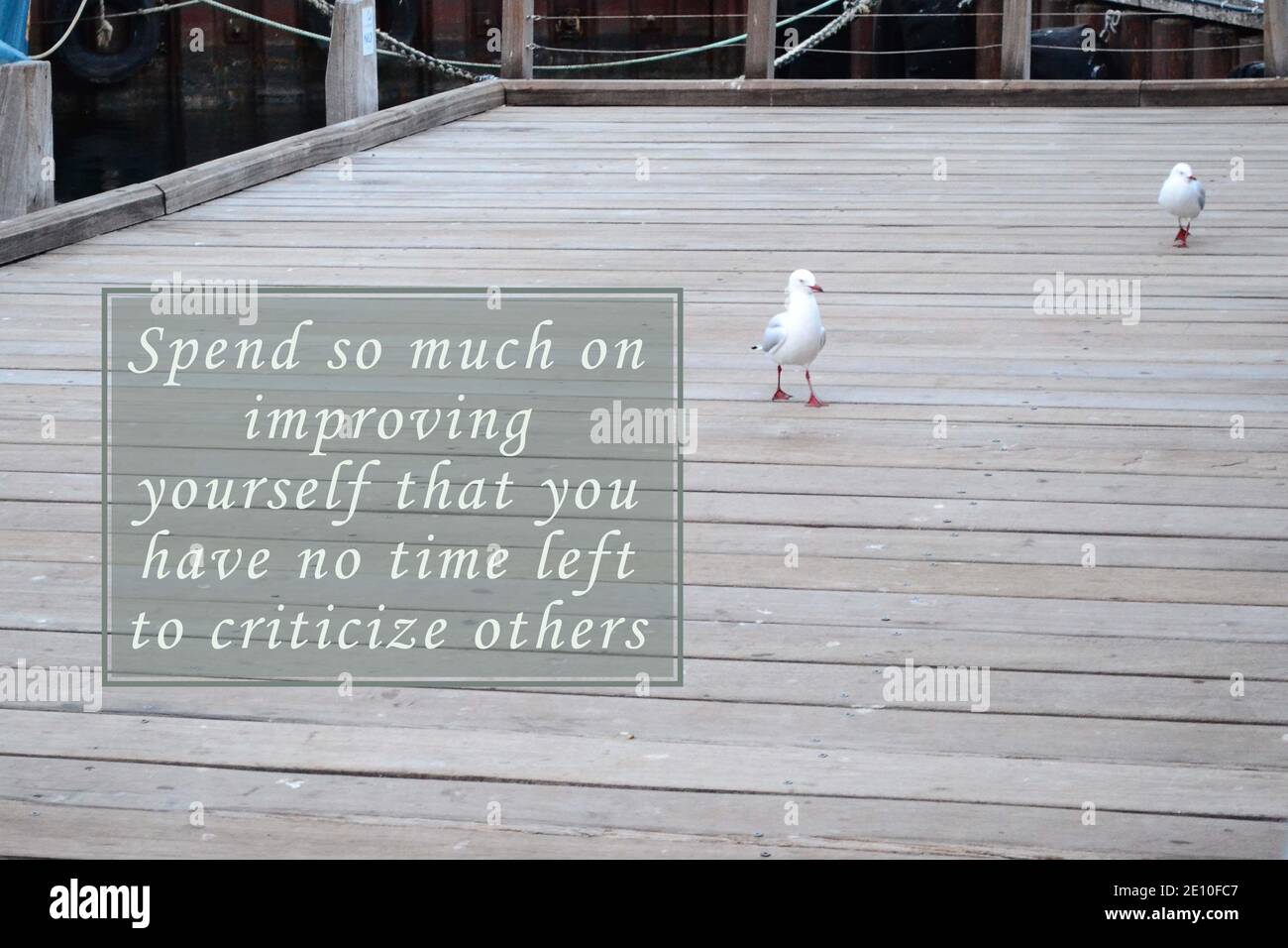 Blurred Image with motivational and inspirational quotes Stock Photo ...