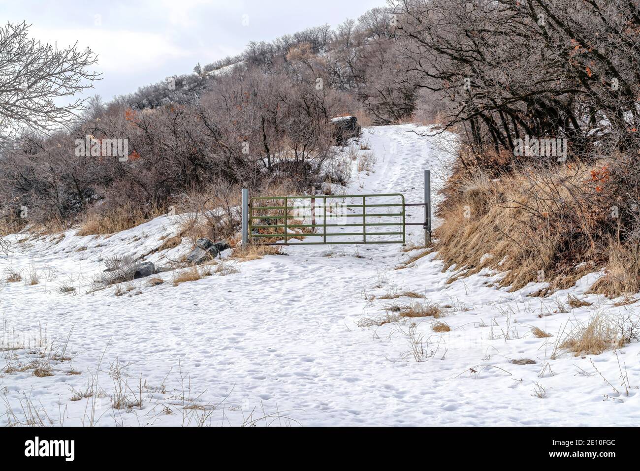 Forest covered cloudy mountainscape hi-res stock photography and images ...