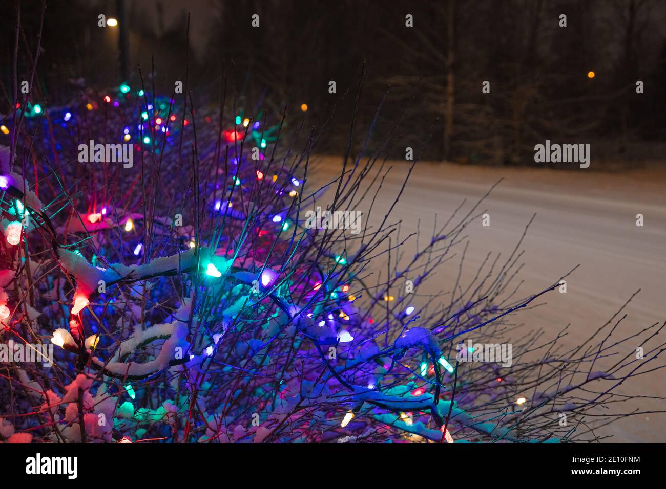 multicolored garland on the tree. .Natural snow background. Concept ...
