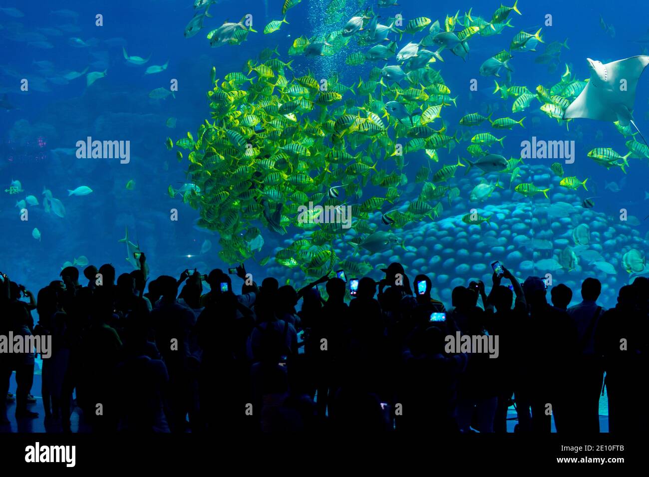 Chimelong aquarium hi-res stock photography and images - Alamy