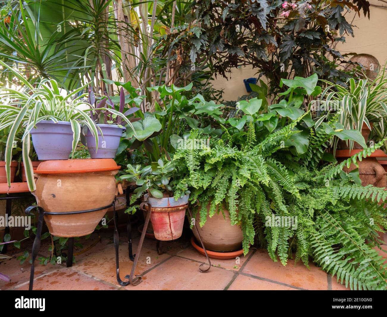 Flower Pots And Plants On An Overgrown Spanish Terrace Stock Photo - Alamy