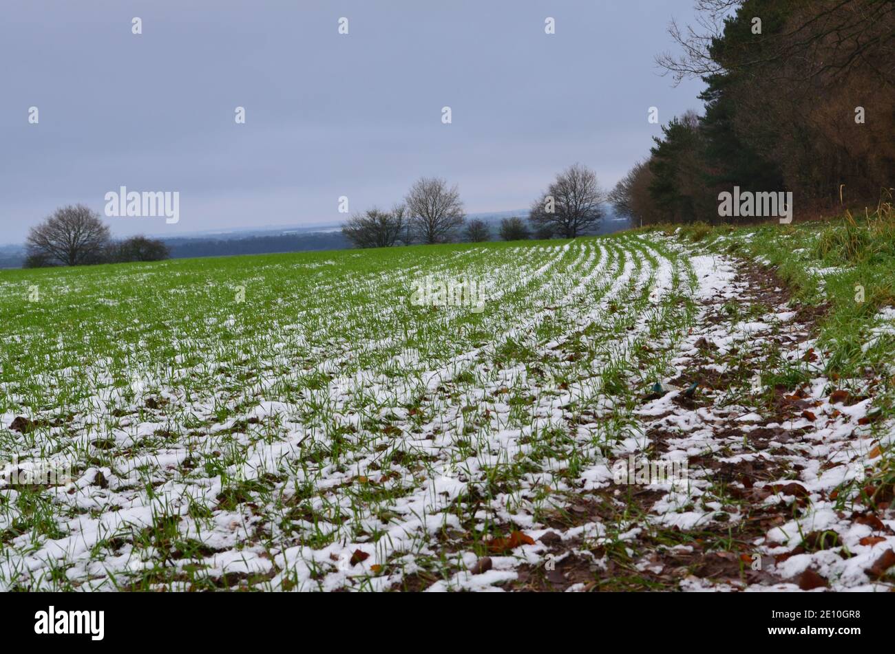 Snow topped hill in Staffordshire, UK Stock Photo - Alamy